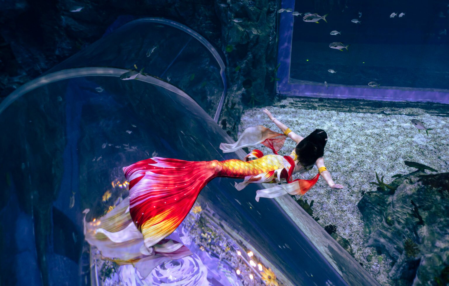 Dongfangjiao - High-Performance Mermaid Costumes